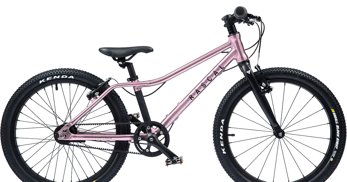 Rascal 20 dětské kolo Raspberry | Koloshop.cz