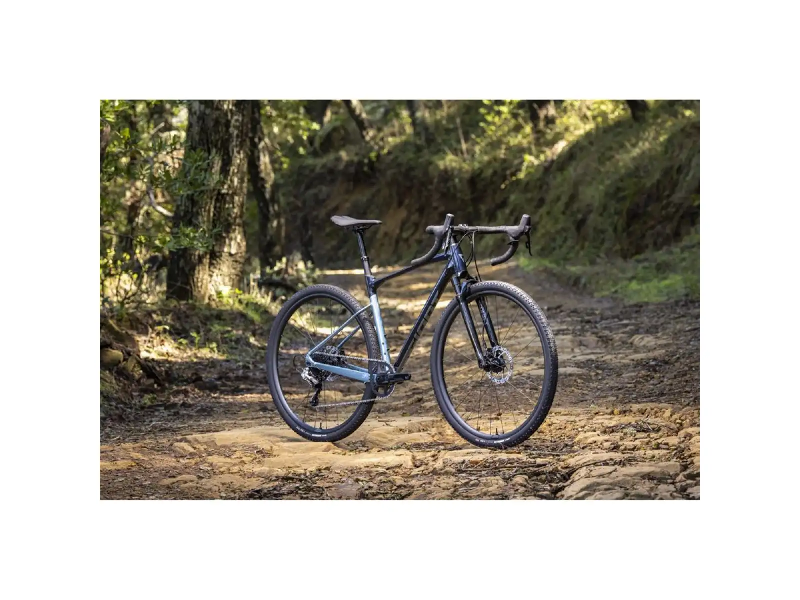 Giant Revolt X 1 gravel kolo cold night | Koloshop.cz