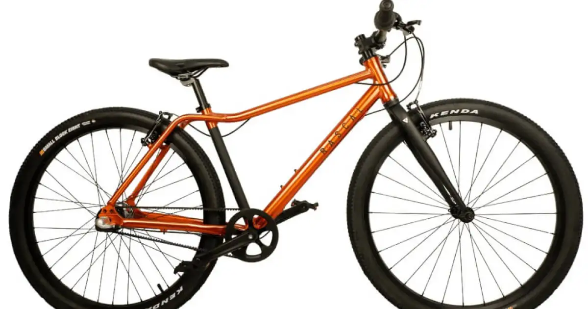 Rascal 26 3 sp. Shimano Nexus dětské kolo Flame | Koloshop.cz