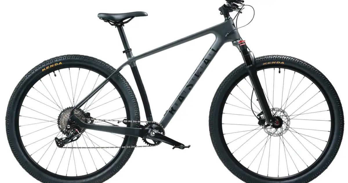 Rascal Rebel 29 Carbon dětské kolo Raw Carbon | Koloshop.cz